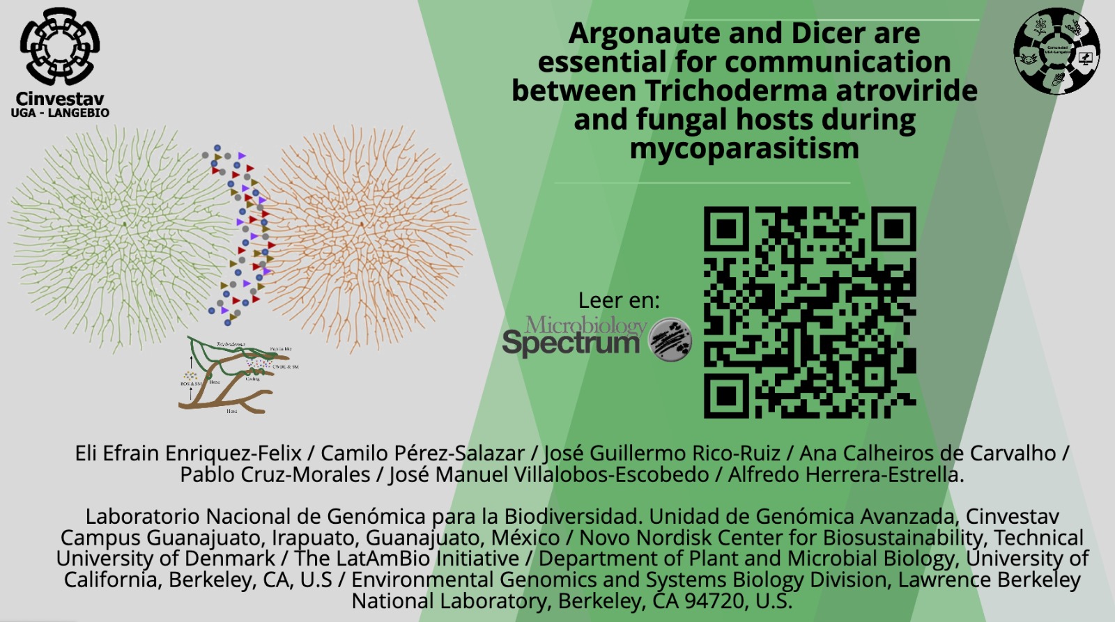 Argonaute And Dicer Are Essential For Communication Between Trichoderma