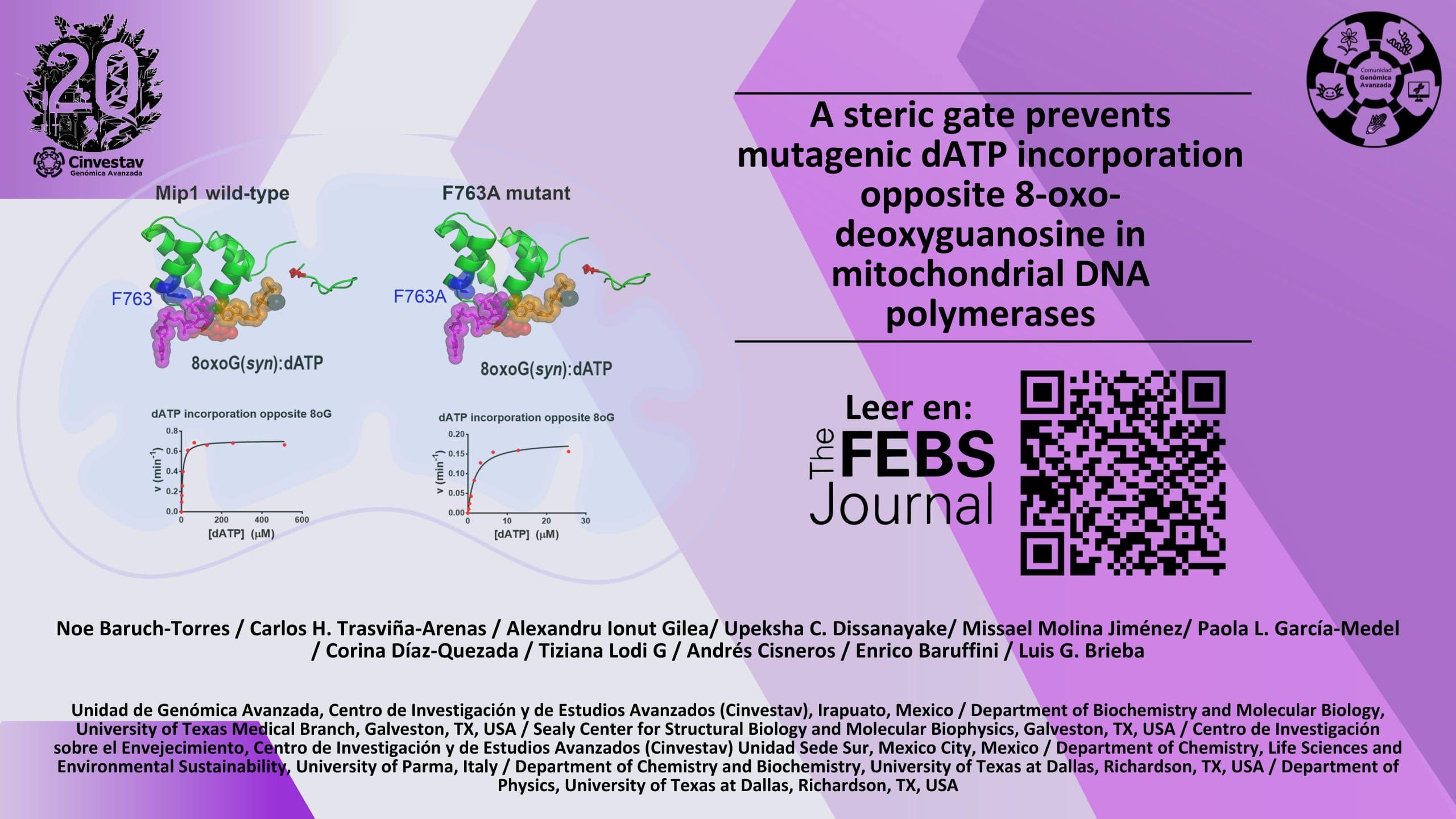 A steric gate prevents mutagenic dATP incorporation opposite 8-oxo-deoxyguanosine in ...