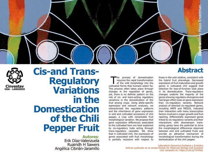 Cis And Trans Regulatory Variation In The Domestication Of The Chili